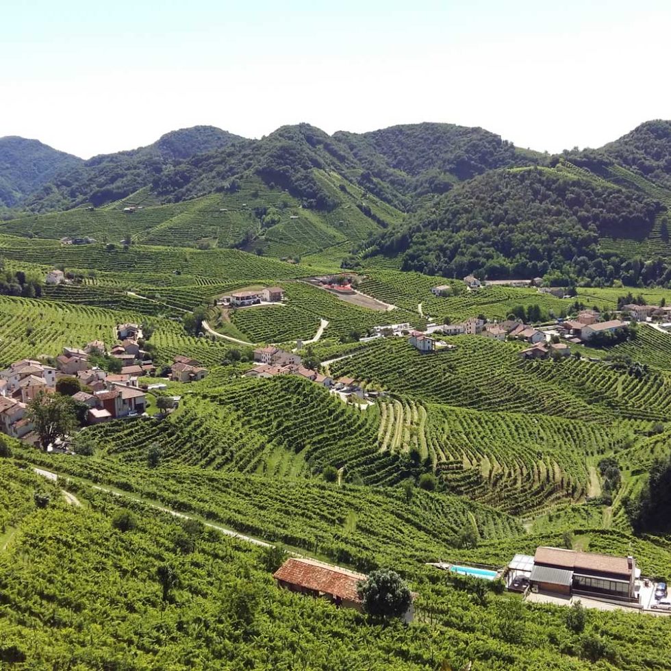 Strada del Prosecco tour con guida,degustazioni,visite guidate cosa vedere
